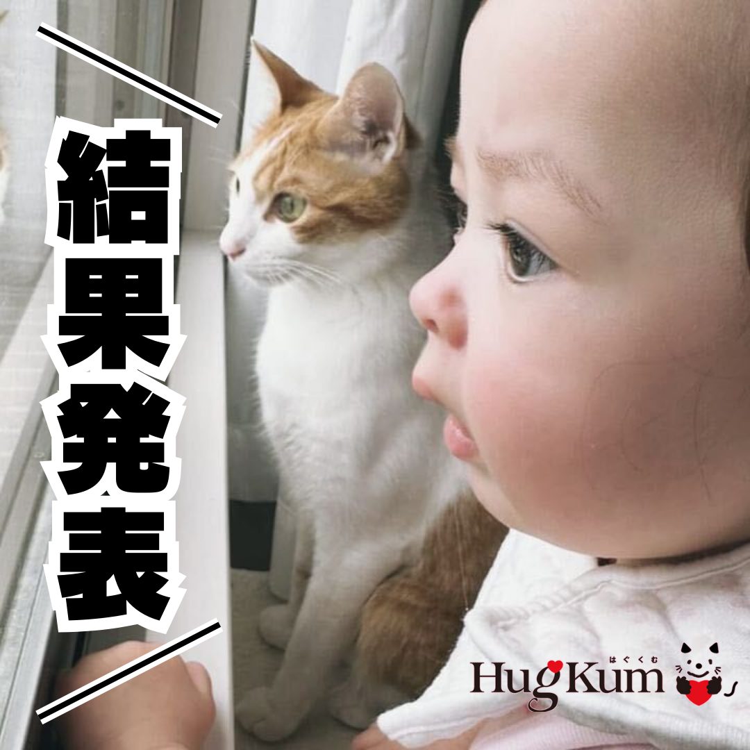 【ネコの日フォトコンテスト結果発表】尊すぎる受賞フォトは癒やし効果抜群･･･！絶対にチェックを♡ | HugKum（はぐくむ）
