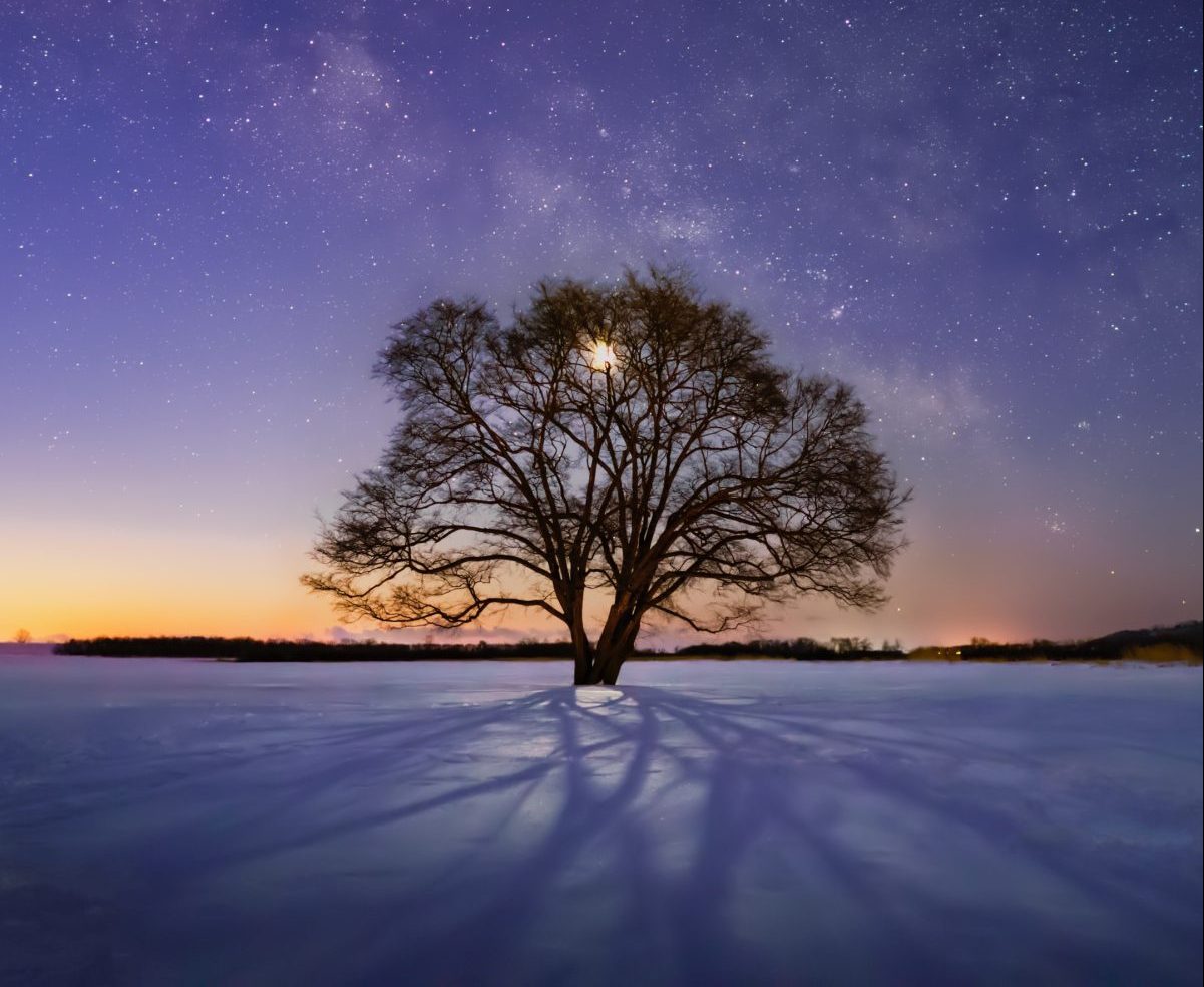 【5組10名様にチケットプレゼント】そごう美術館 星空写真家 KAGAYAさんの作品を一挙に100点展示！「KAGAYA 星空の世界 天空の贈り物」が開催 | HugKum（はぐくむ）