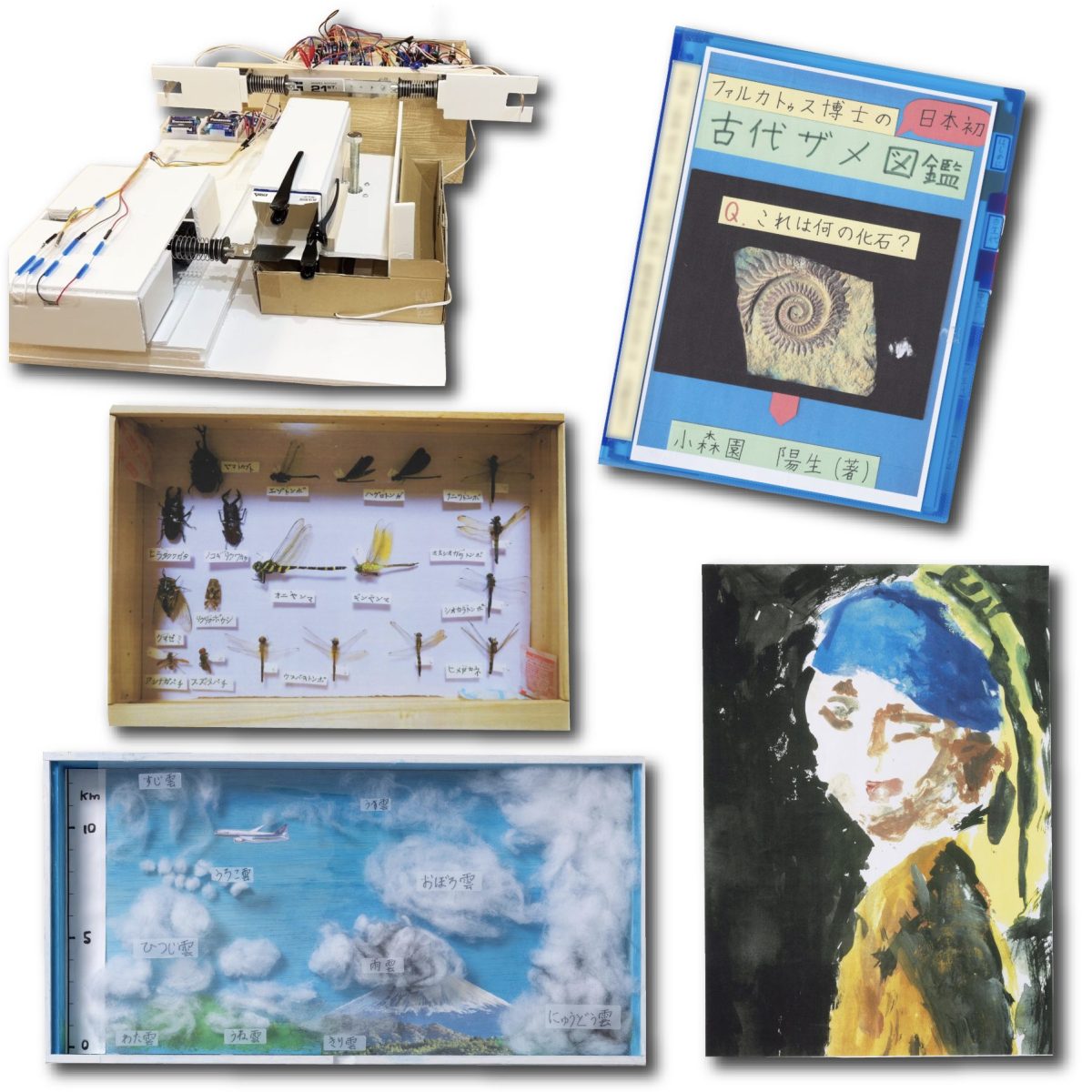 応募数3653件の中から受賞者が決定『小学生の図鑑・自由研究コンクール』 おもしろい着眼点やハイレベルな完成度の力作ぞろい！ | HugKum（はぐくむ）