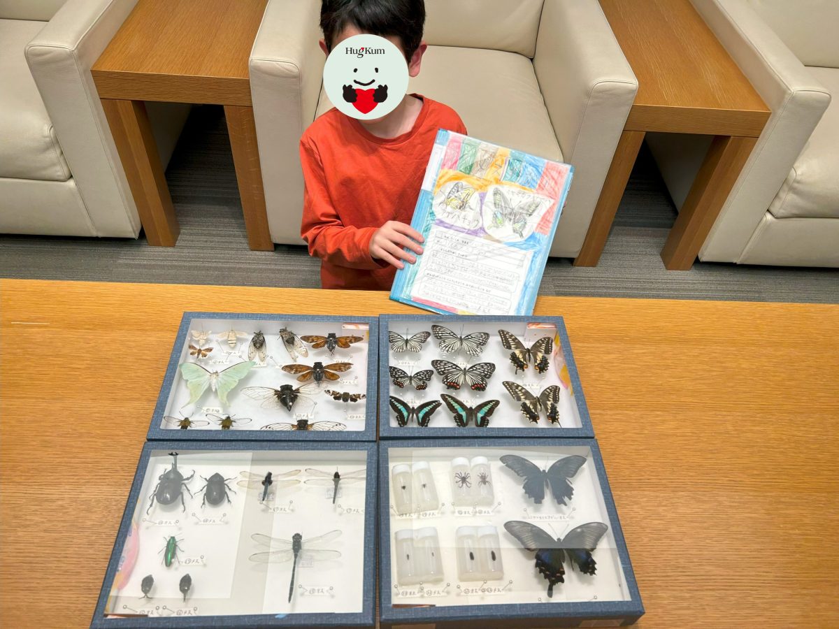 小1とは思えない完成度！【自由研究コンクール】東京都 柊優さんは標本図鑑でオスとメスを徹底比較「将来は科学者になりたい」 | HugKum（はぐくむ）