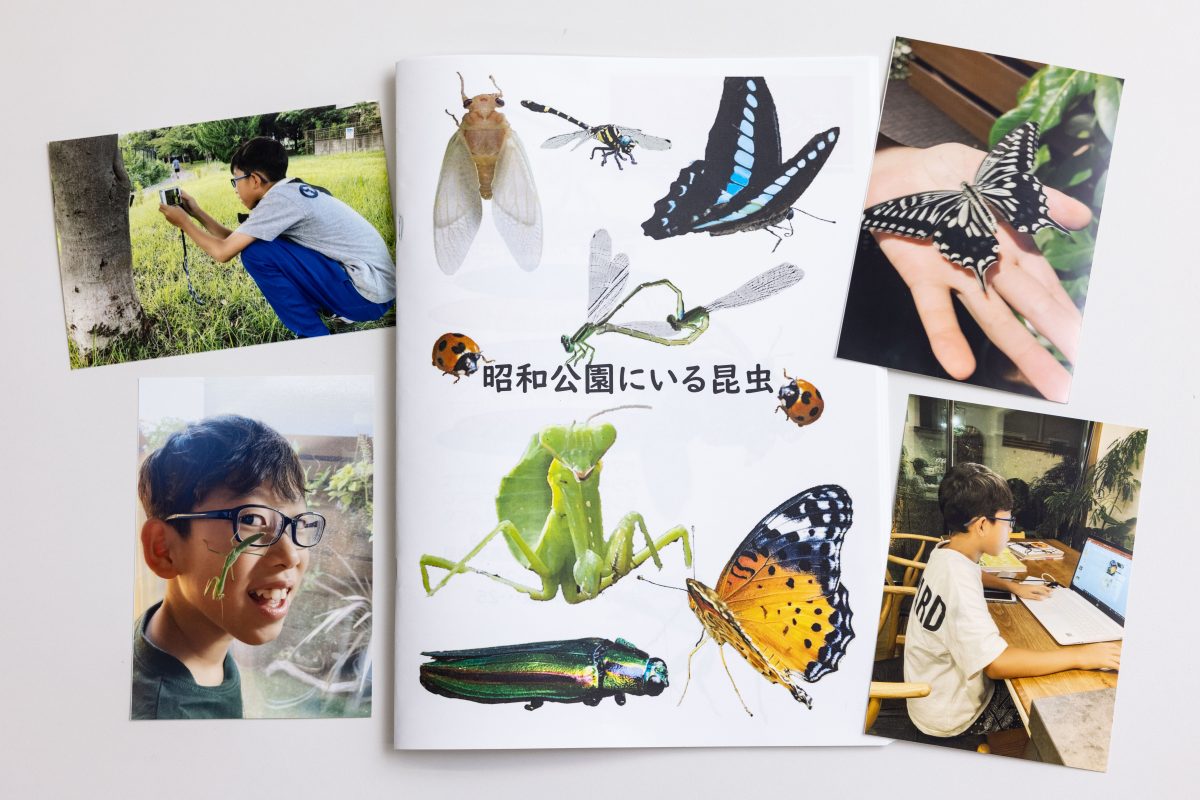 小学5年生が撮影、編集から製本まですべて自分で手がけた世界で一冊の昆虫図鑑のクオリティが圧巻！いまハマっているのは虫のLINEスタンプづくり【自由研究コンクール】 | HugKum（はぐくむ）