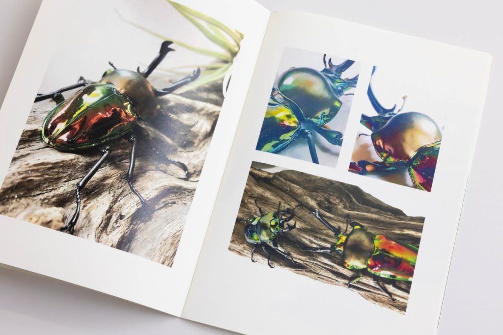 小学5年生が撮影、編集から製本まですべて自分で手がけた世界で一冊の昆虫図鑑のクオリティが圧巻！いまハマっているのは虫のLINEスタンプづくり【自由研究コンクール】 | HugKum（はぐくむ）