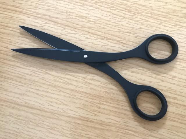 子ども用と侮れない！ コンパクトな顕微鏡×スマホでミクロの世界が身近に！ 自由研究にもレジャーにもおすすめ | HugKum（はぐくむ）