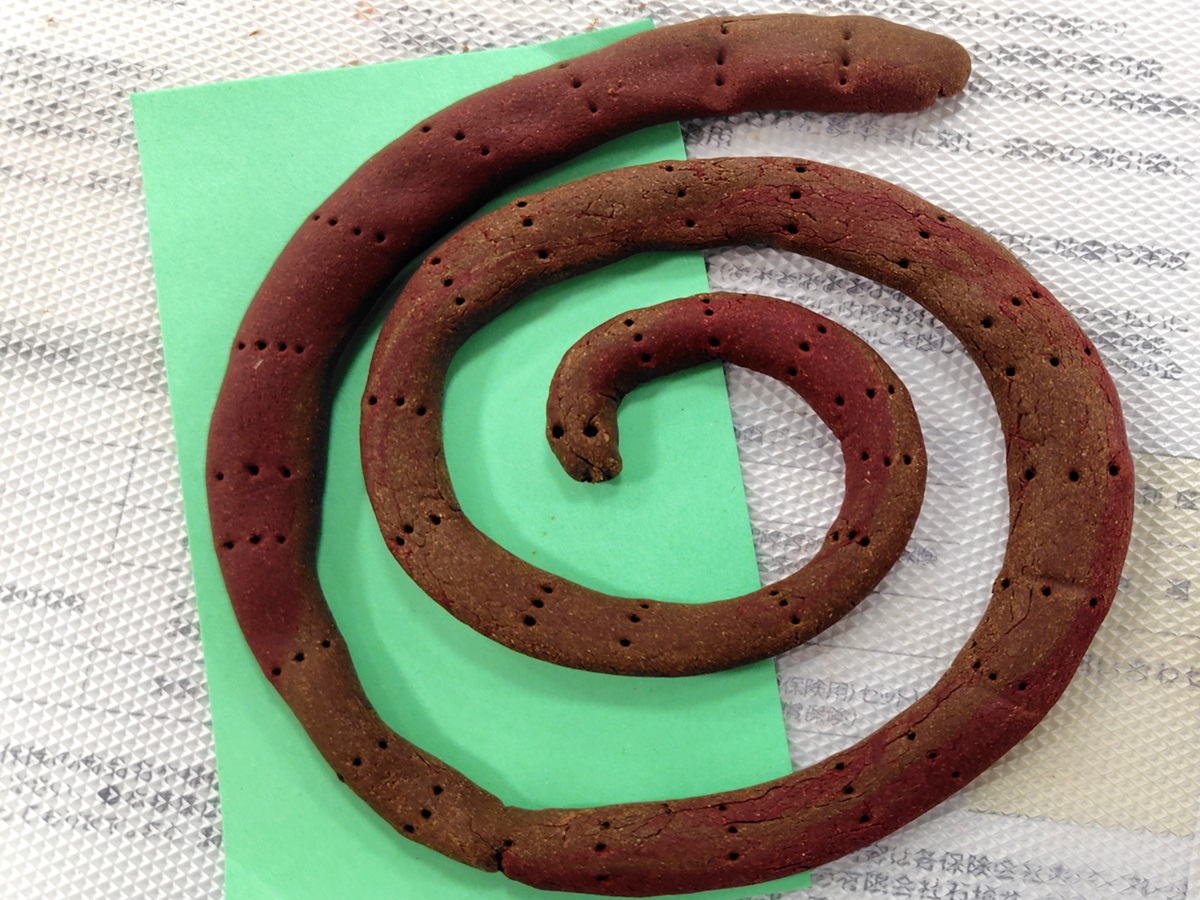 自由研究におすすめ！ 東京都主催セミナーの「蚊取り線香のナゾにせまる！」が役に立っておもしろい | HugKum（はぐくむ）