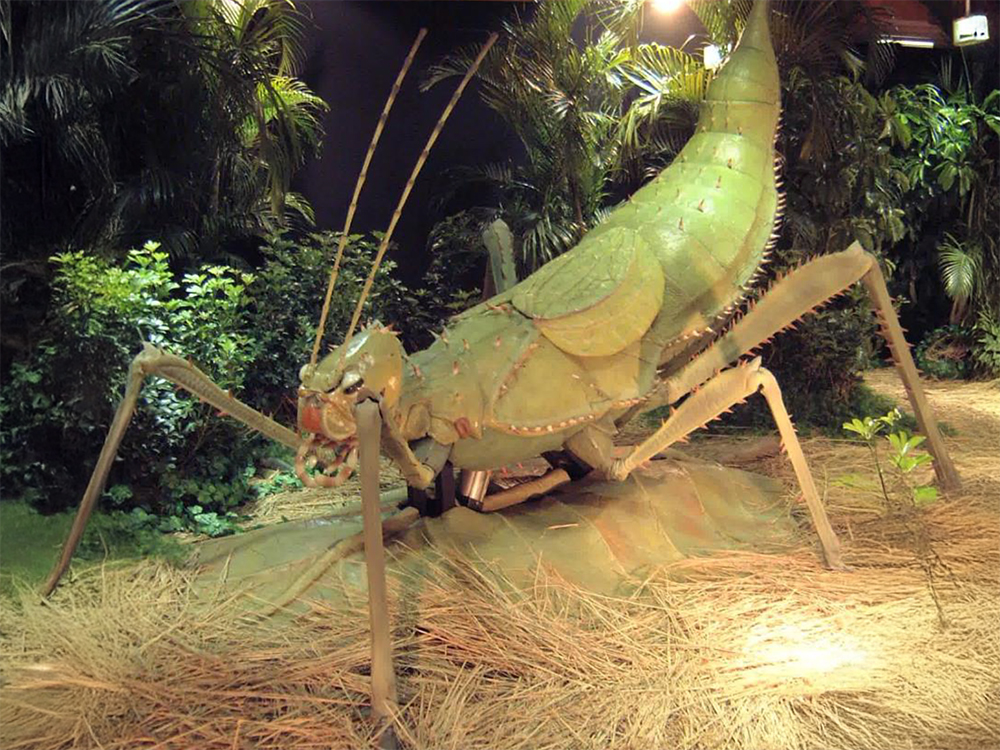 超レア昆虫「ヘラクレスオオカブト」をゲットできる体験型イベントが8/9より限定開催！ 約30種のカブトムシ・クワガタムシと触れあい＆自由研究にも | HugKum（はぐくむ）