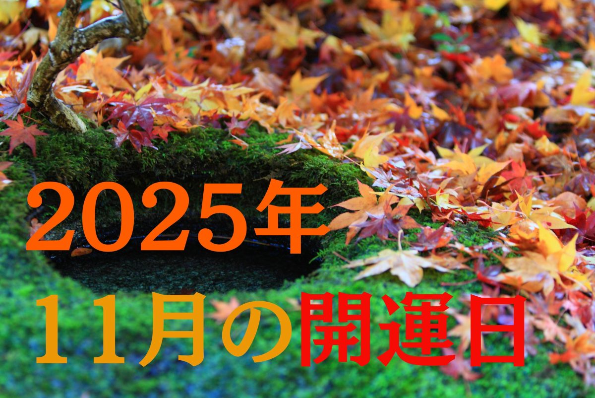 【開運日】2025年11月の開運日。今年の11月11日は、「お金」や「豊かさ」「居場所」に関する願い事で運気UP！ | HugKum（はぐくむ）