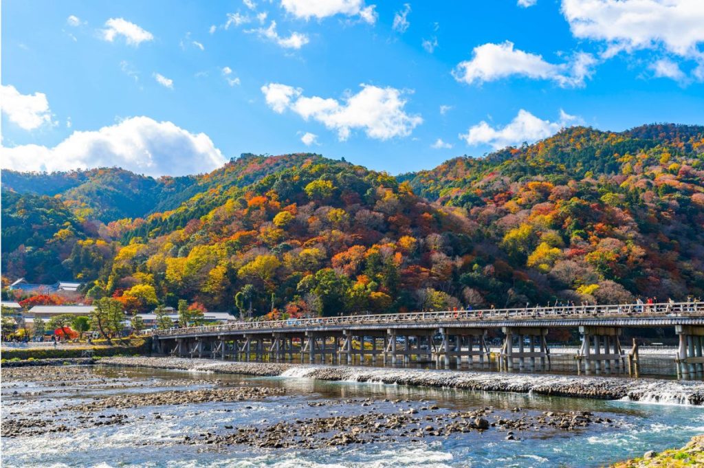 【開運日】2025年11月の開運日。今年の11月11日は、「お金」や「豊かさ」「居場所」に関する願い事で運気UP！ | HugKum（はぐくむ）